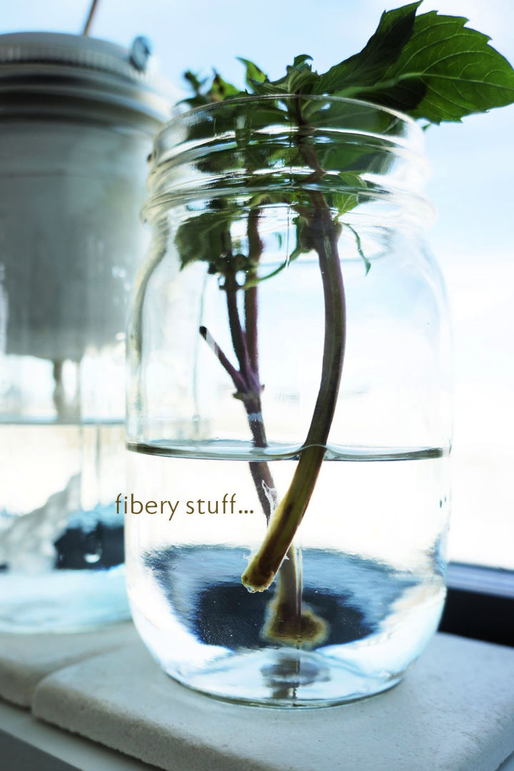 30 Homemade DIY Self Watering Planter Ideas - Suite 101