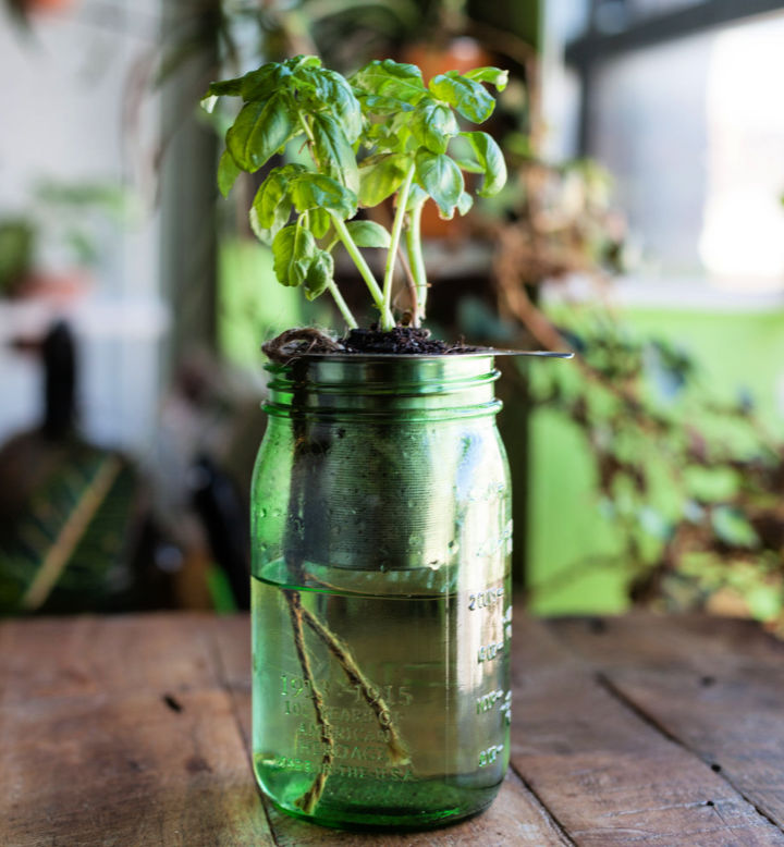 30 Homemade DIY Self Watering Planter Ideas - Suite 101
