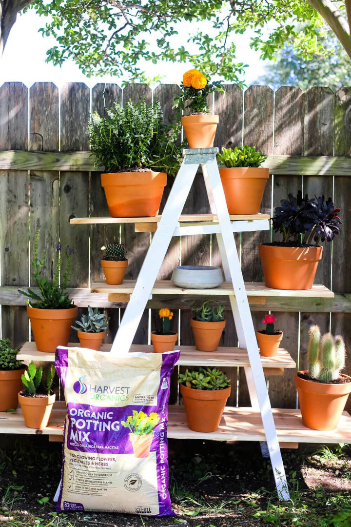 20 Beautiful DIY Ladder Plant Stand Ideas - Suite 101