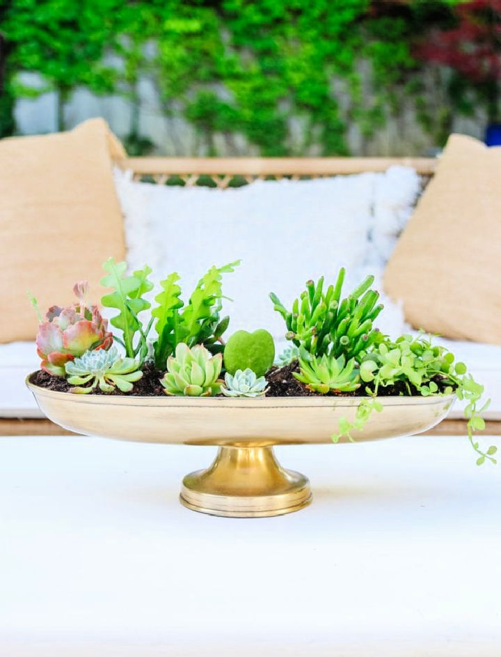 25 DIY Succulent Planter Ideas for Indoor and Outdoor