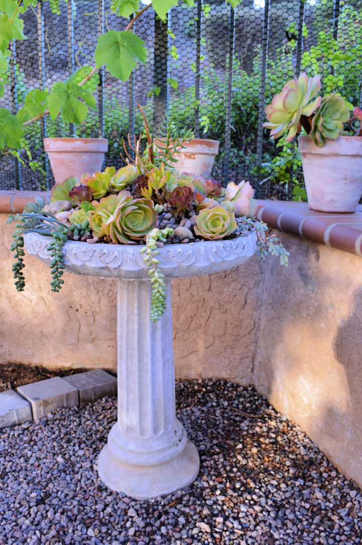 25 DIY Succulent Planter Ideas for Indoor and Outdoor
