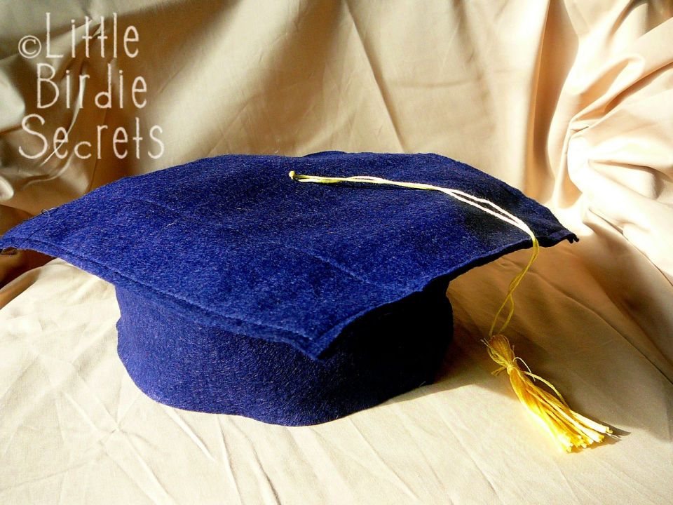 25 Clever Graduation Cap Ideas and Decoration Designs