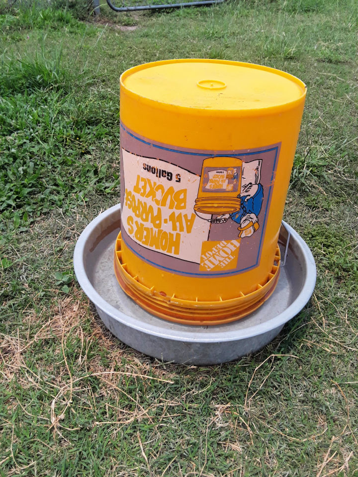 35 Homemade DIY Chicken Feeder Ideas - Suite 101