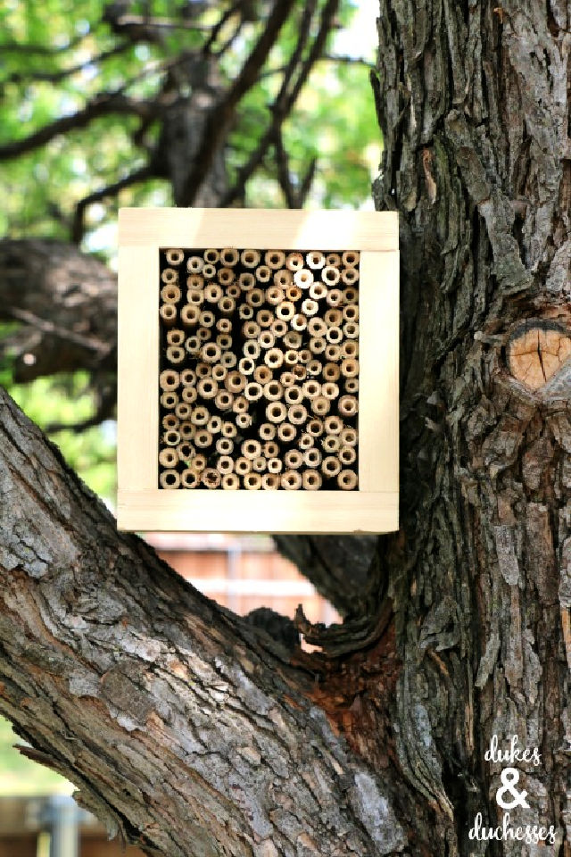 25 Free DIY Beehive Plans to Build Your Own Bee Box