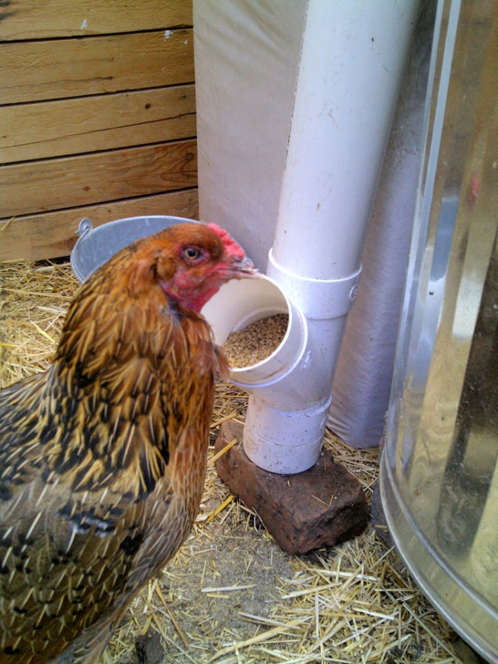 35 Homemade DIY Chicken Feeder Ideas - Suite 101