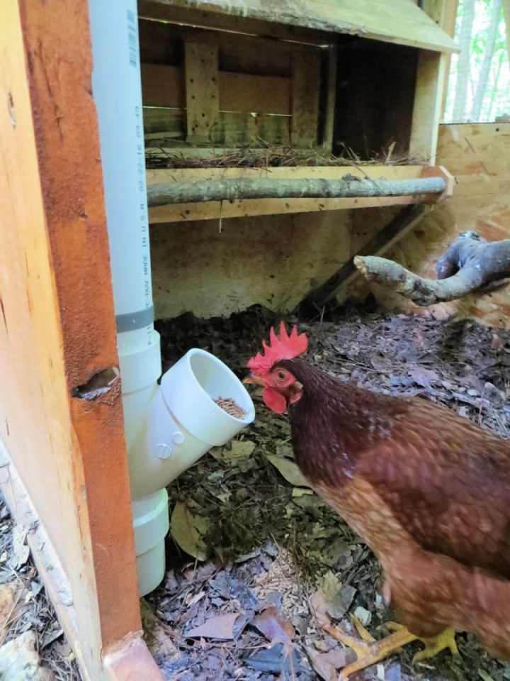 35 Homemade DIY Chicken Feeder Ideas - Suite 101