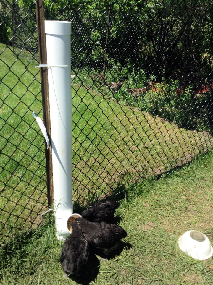35 Homemade DIY Chicken Feeder Ideas - Suite 101