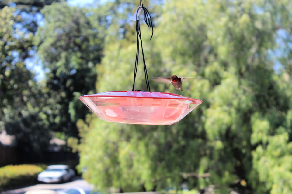 30 Homemade DIY Hummingbird Feeder Ideas - Suite 101