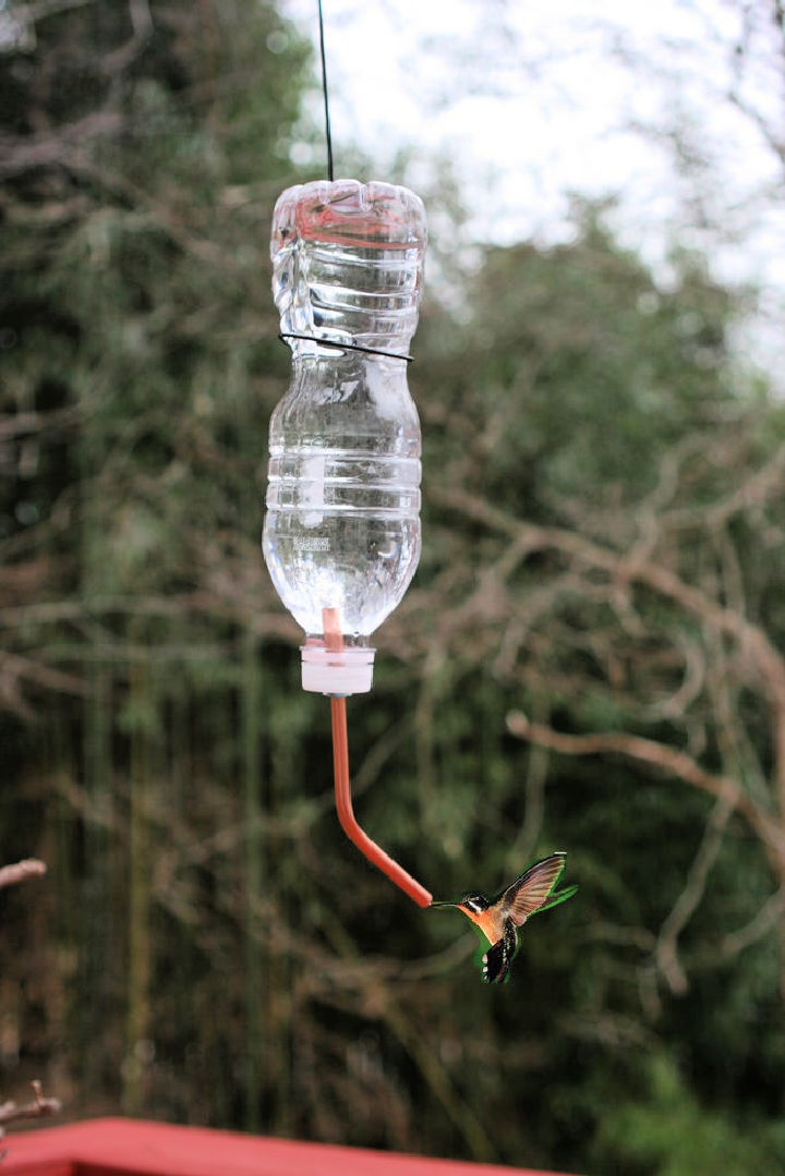 30 Homemade DIY Hummingbird Feeder Ideas - Suite 101