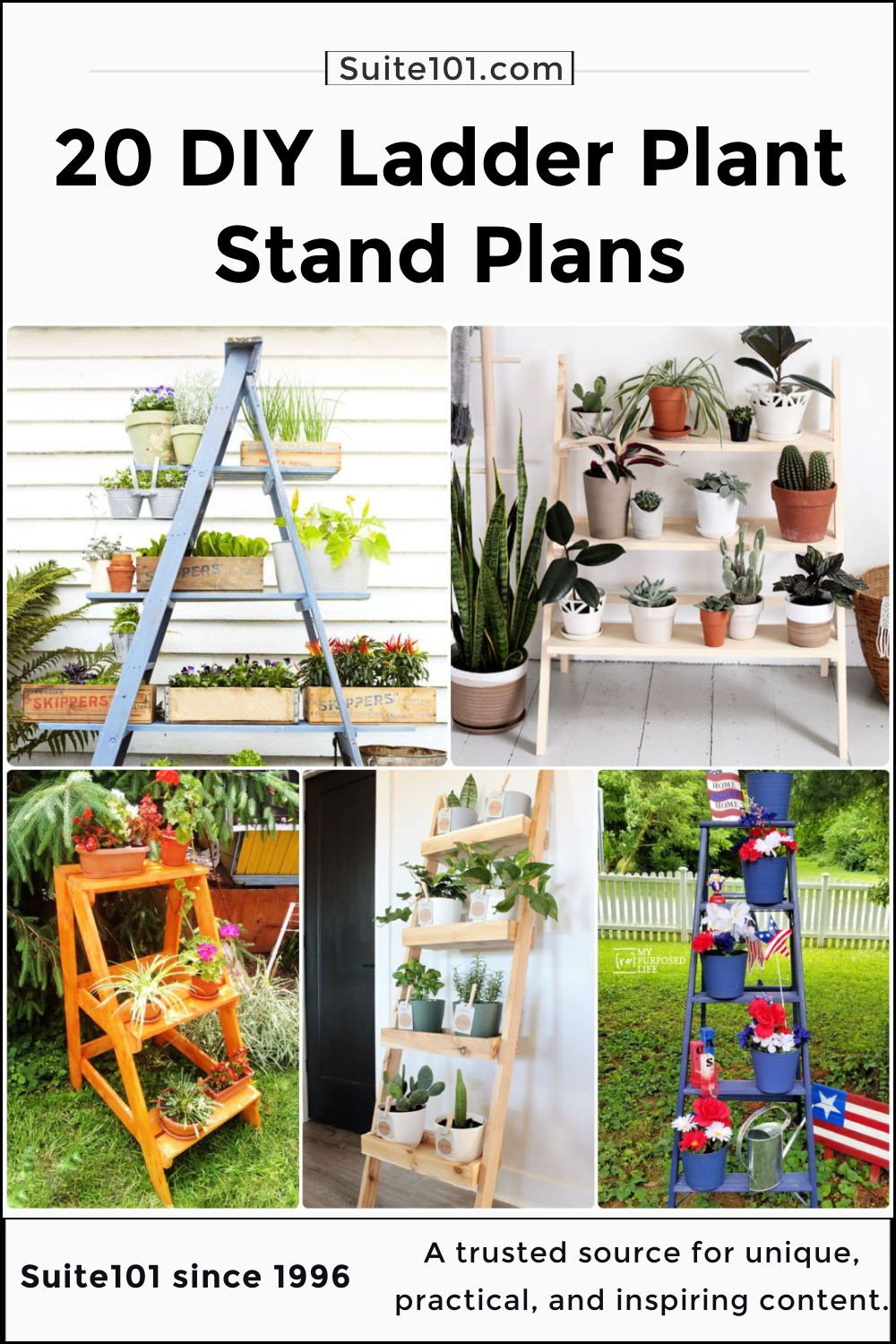 20 Beautiful DIY Ladder Plant Stand Ideas - Suite 101