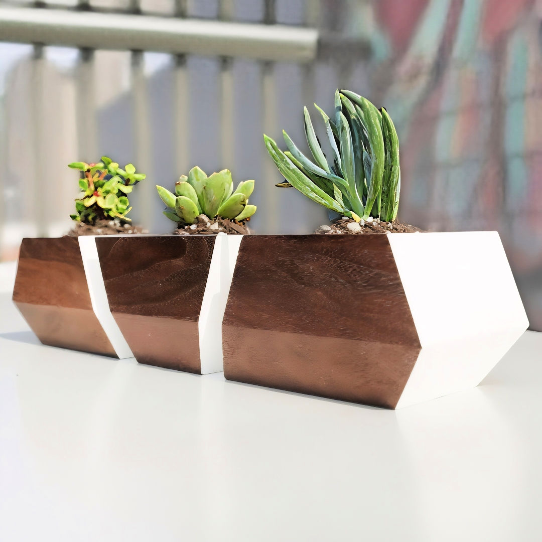DIY Succulent Planter: 13 Steps (with Pictures)