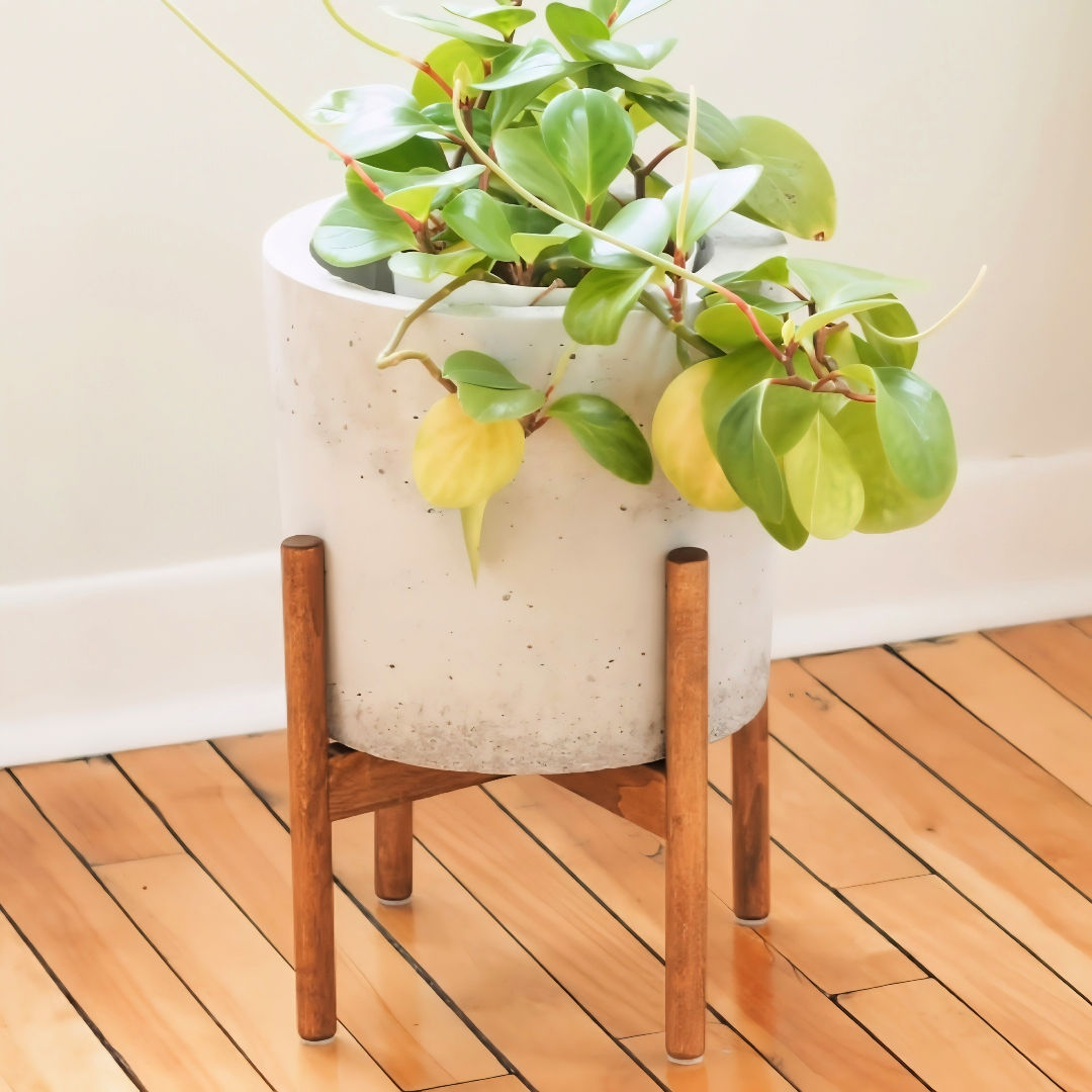 DIY Plant Stand for Stylish Plant Displays