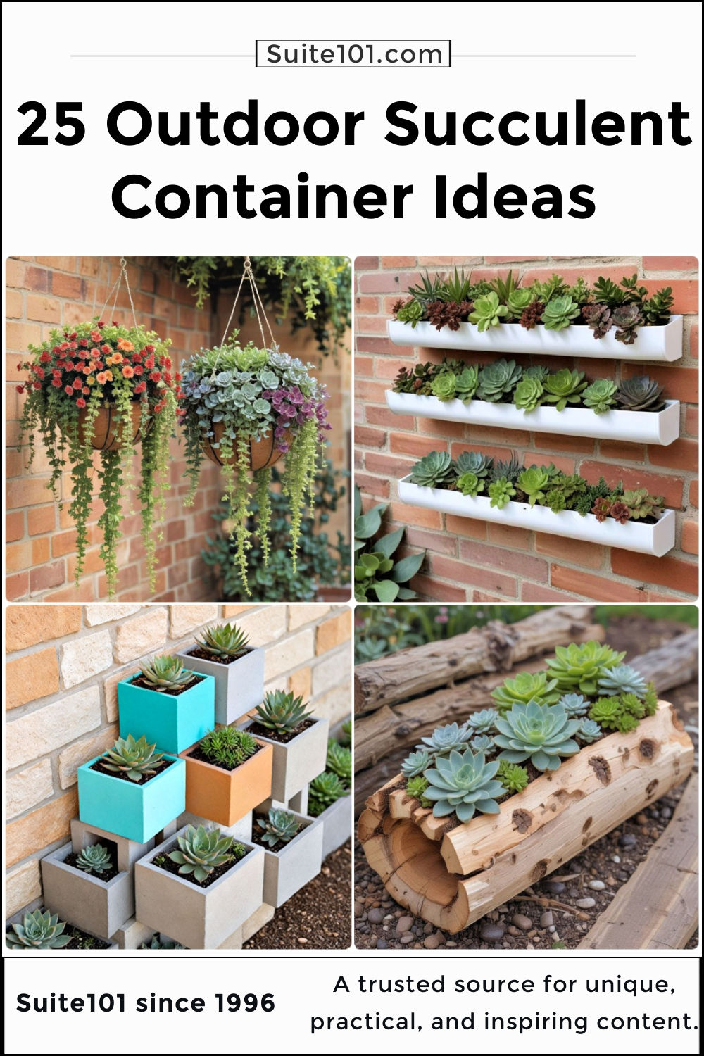 25 Outdoor Succulent Container Ideas To Copy