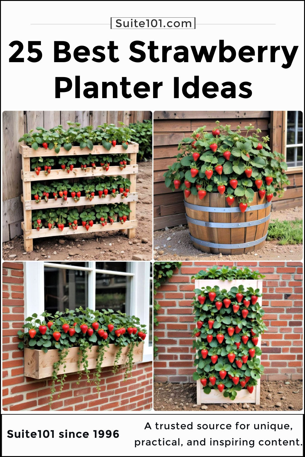 25 Strawberry Planter Ideas You'll Love
