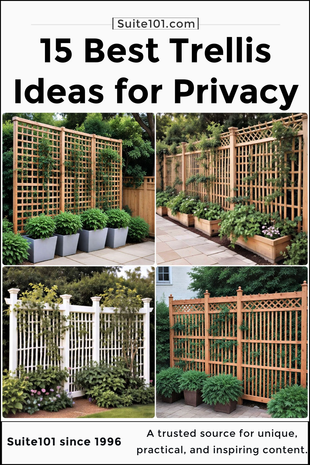 15 Trellis Ideas for Privacy and Style